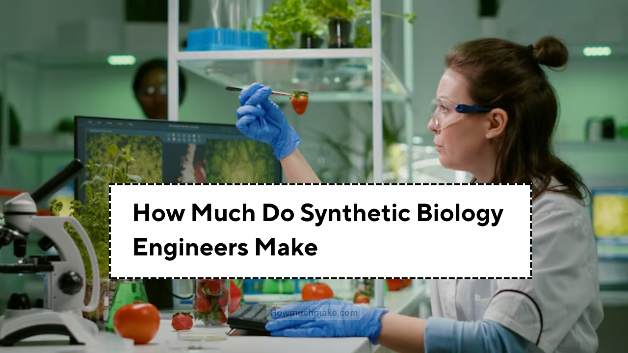 How Much Do Synthetic Biology Engineers Make